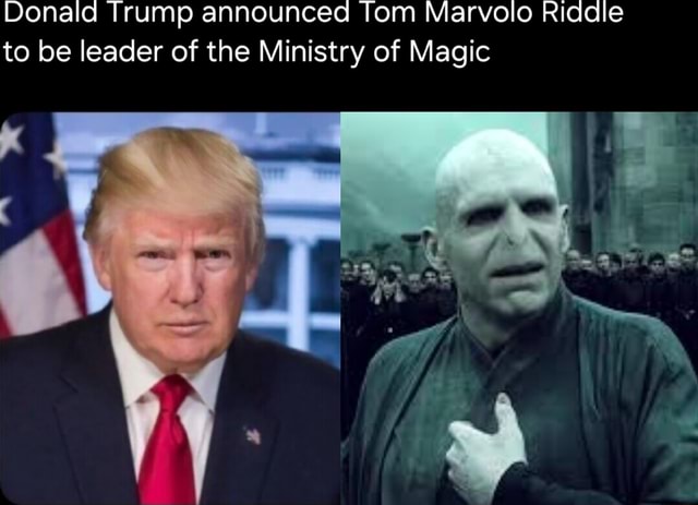 Donald Trump announced Tom Marvolo Riddle to be leader of the Ministry ...