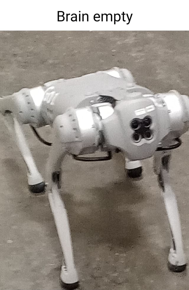 Brain empty - iFunny