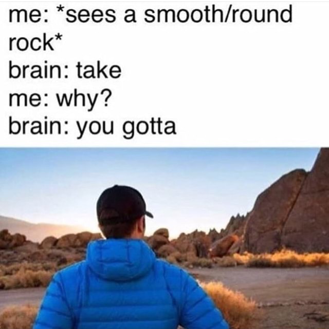 Me: *sees a rock* brain: take me: why? brain: you gotta - iFunny