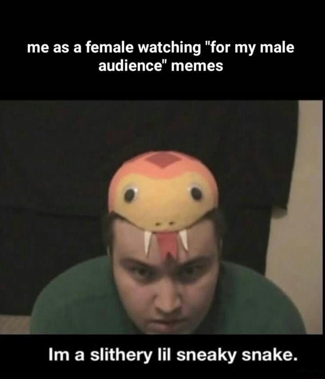 Me as a female watching "for my male audience' memes Ima slithery lil ...