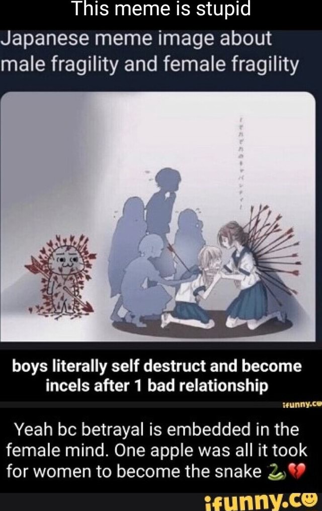 This meme is stupid Japanese meme image about male fragility and female ...