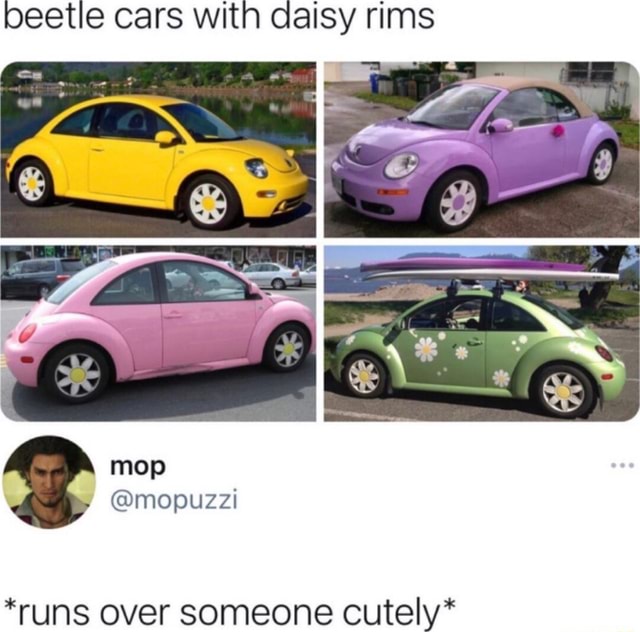 Beetle cars wit daisy rims *runs over someone cutely* - iFunny