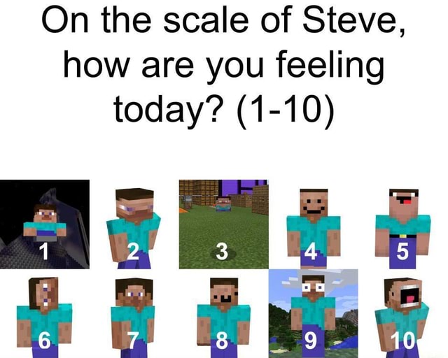 On the scale of Steve, how are you feeling today? (1-10) - iFunny