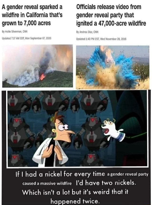 A gender reveal sparked a Officials release video from wildfire in ...