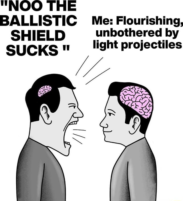 "NOO THE BALLISTIC Me: Flourishing, SHIELD unbothered by SUCKS ...