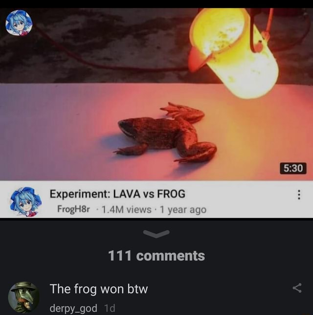Experiment: LAVA vs FROG FrogH8r 1.4M views 1 year ago 111 comments The ...