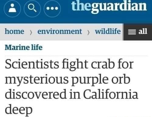 Home environment wildlife Marine life all Scientists fight crab for ...