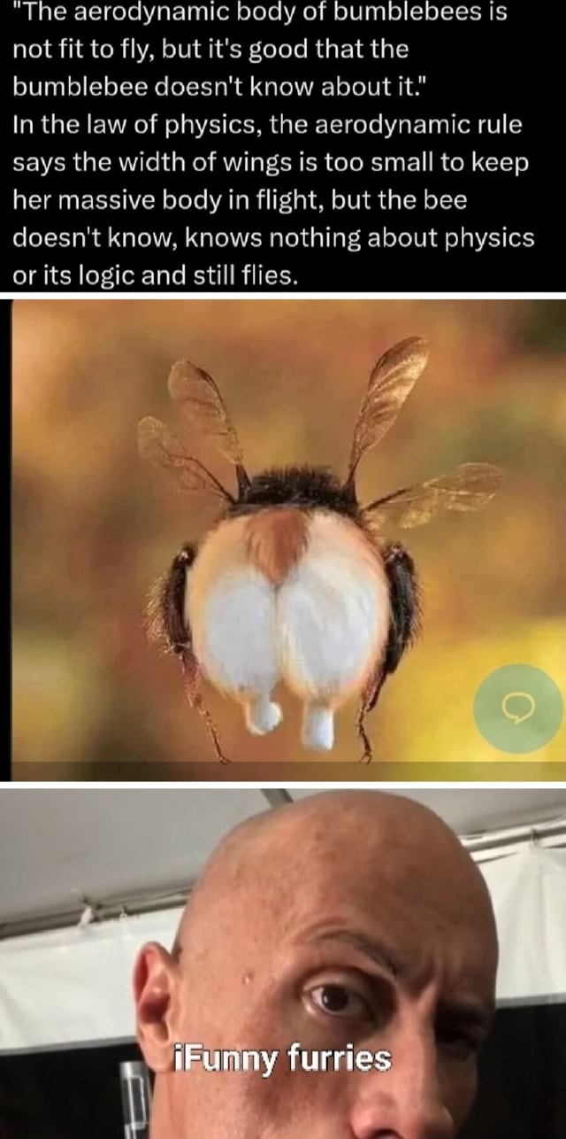 "The aerodynamic body of bumblebees is not fit to fly, but it's good ...