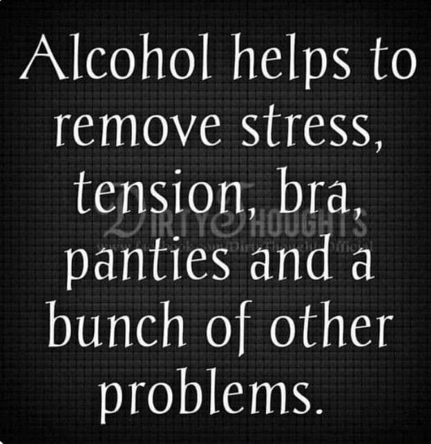 Alcohol helps to remove stress, tension, bra, panties and a bunch of ...