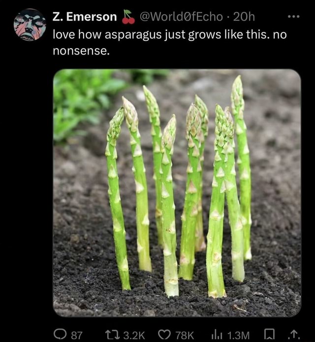 Love how asparagus just grows like this. no nonsense. I Emerson - - iFunny