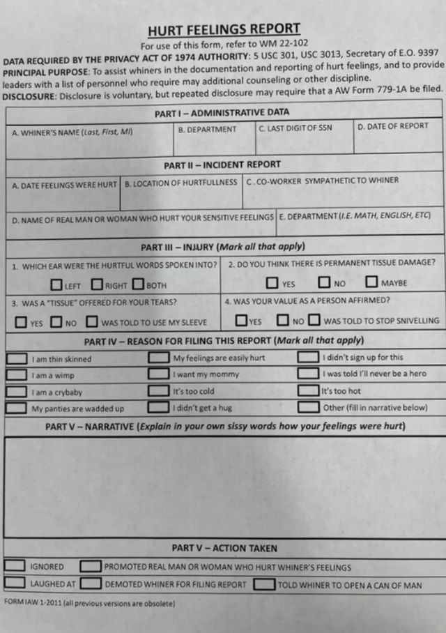 HURT FEELINGS REPORT For use of this form, refer to WM 22-102 DATA ...