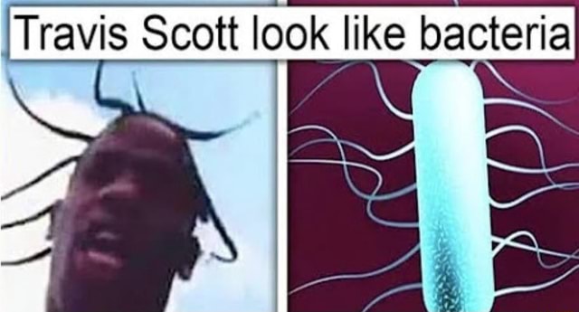 Travis Scott look like bacteria AN ALA - iFunny