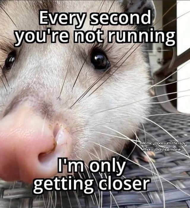 Every second you're not running I'm only getting closer - iFunny