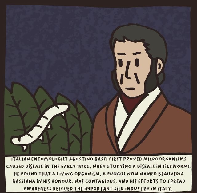 TN5.6- Germ Theory - ITALIAN ENTOMOLOGIST AGOSTINO BASSI FIRST PROVED ...