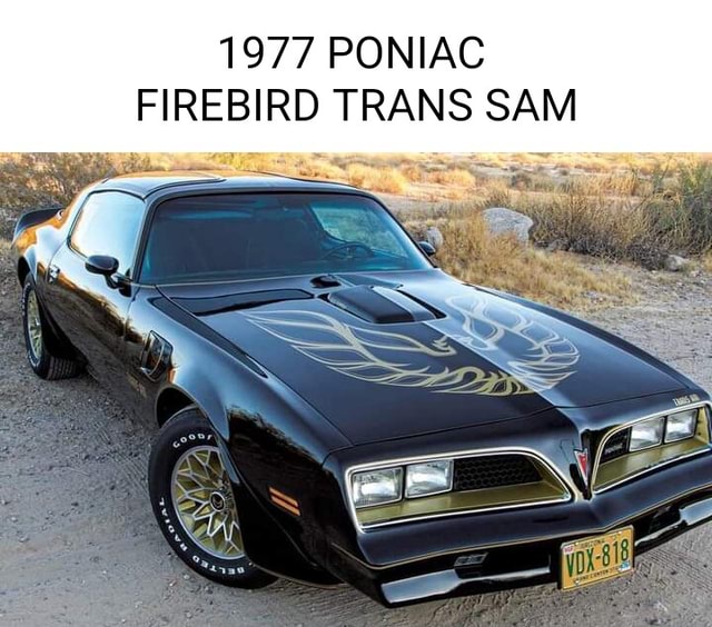 1977 PONIAC FIREBIRD TRANS SAM - America’s best pics and videos