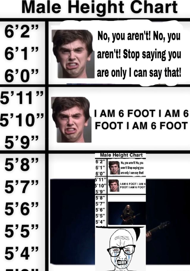 Male Height Chart No You Arent No You Arent Stop Saying You Are Only I Can Say That I Am