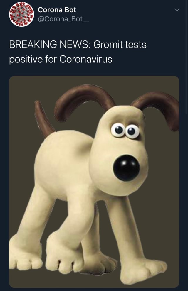 Corona Bot @Corona_Bot_ BREAKING NEWS: Gromit tests positive for ...