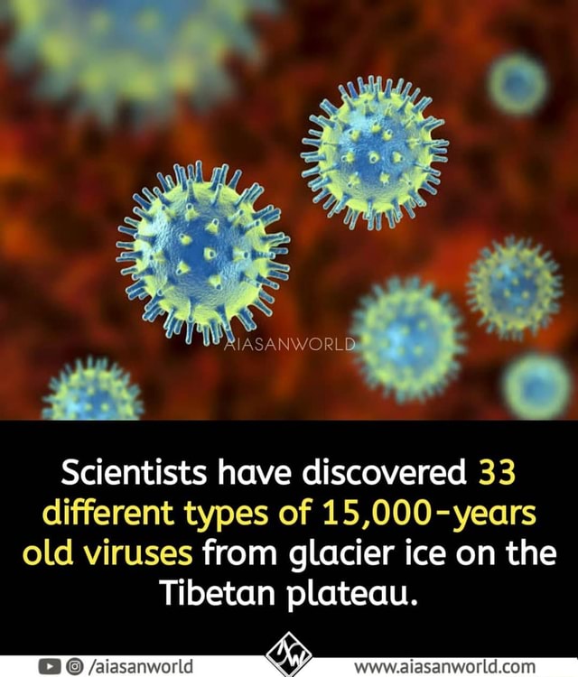 Scientists have discovered 33 different types of 15,000-years old ...