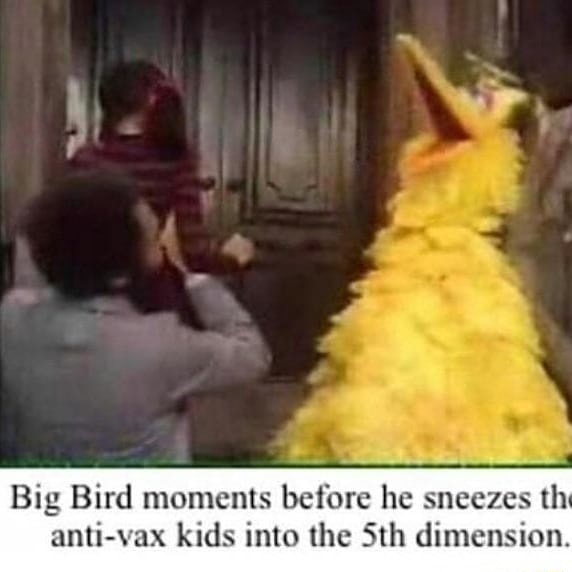 Meme Dump - Big Bird moments befare he sneezes th amticva into the Sth ...