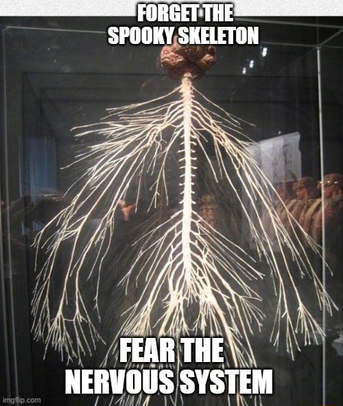 SPOOKY SKELETON FEAR THE NERVOUS SYSTEM - iFunny