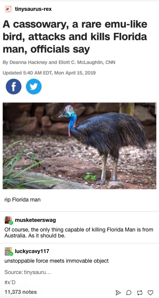 A cassowary, a rare emu-like bird, attacks and kills Florida man ...
