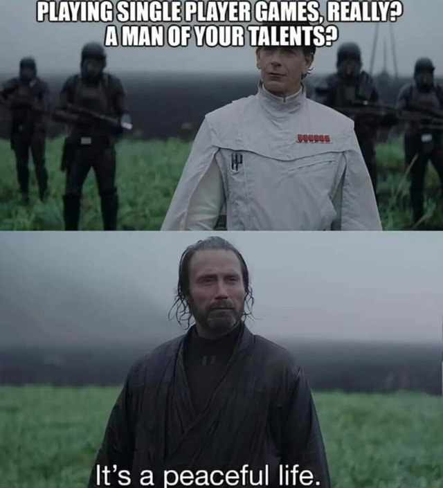 PLAYING SINGLE PLAYER GAMES, REALLY? A MAN OF YOUR TALENTS? It's ...