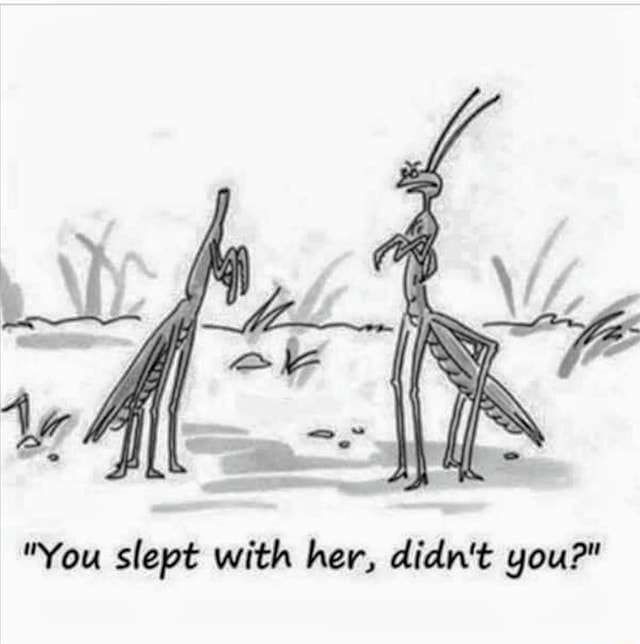 "You slept with her, didn't you?" - iFunny