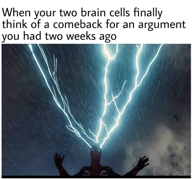When your two brain cells ﬁnally think of a comeback for an argument ...
