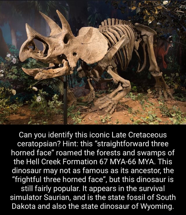 Can you identify this iconic Late Cretaceous ceratopsian? Hint: this ...
