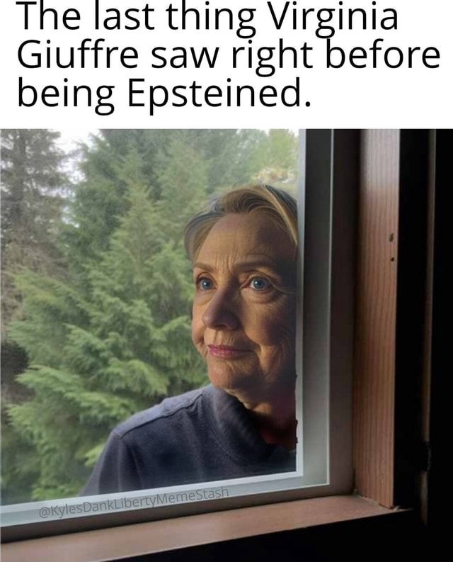 The last thing Virginia Giuffre saw right before being Epsteined. - iFunny