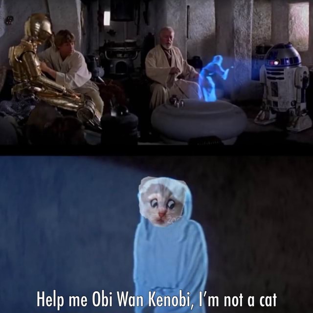 Help me Obi Wan Kenobi, I'm not a cat - iFunny