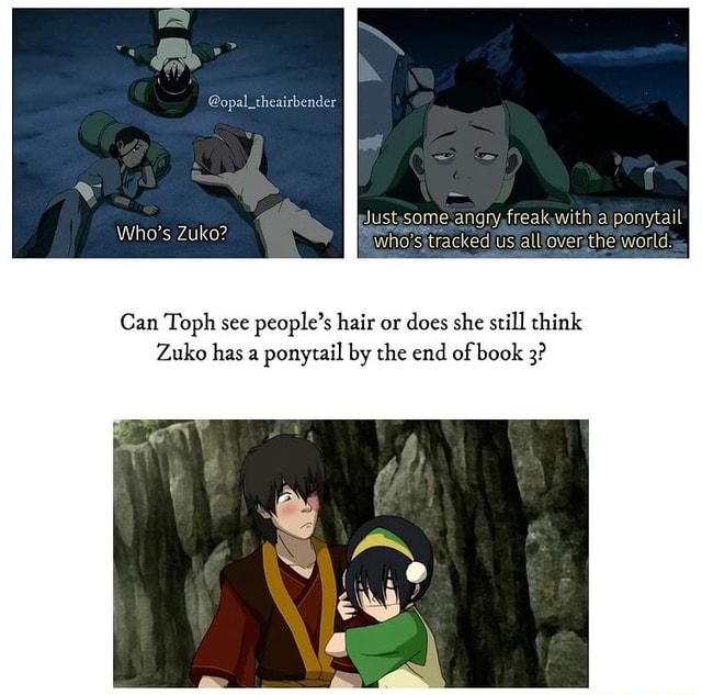Justsome,.angry,freakwwith a ponytail Who's Zuko? who's tracked us ...
