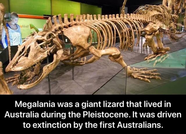 Megalania was a giant lizard that lived in Australia during the ...