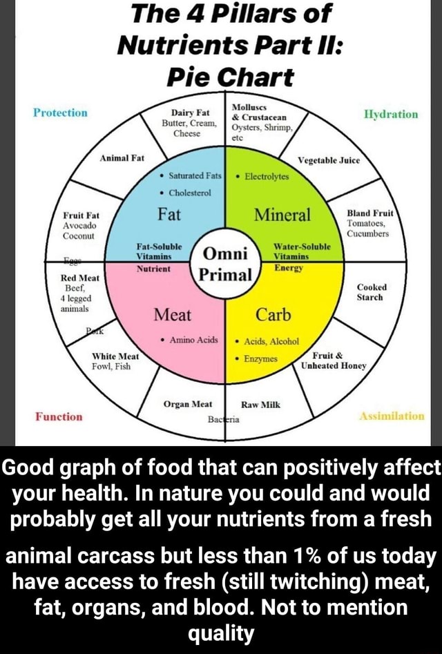 The 4 Pillars of Nutrients Part II: Pie Chart Fat Saturated Fats ...