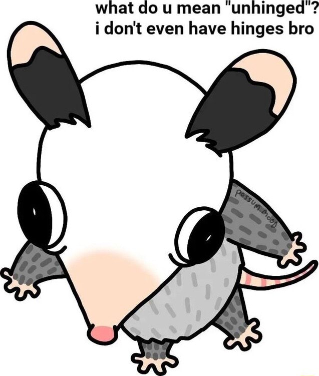 What do u mean unhinged i don't even have hinges bro - iFunny