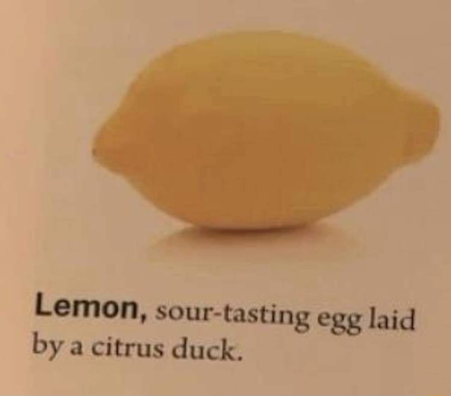Lemon, sour-tasting egg laid by a citrus duck. - iFunny