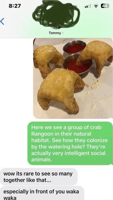 Tommy Here we see a group of crab Rangoon in their natural habitat. See ...
