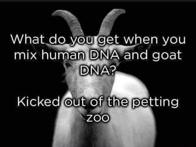 What.cdo @et when you mix human and goat Kicked thepetting \200 - iFunny