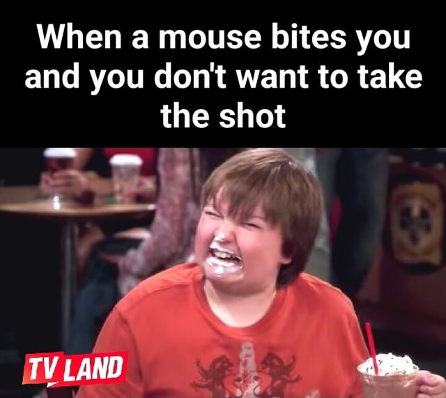 When a mouse bites you and you don't want to take the shot TV LAND - iFunny