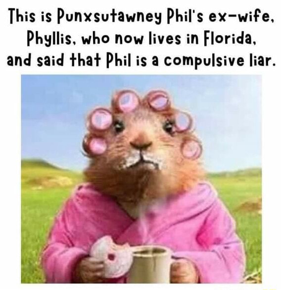 This is Punxsutawney Phil's ex-wife, Phyllis, who now lives in Florida ...