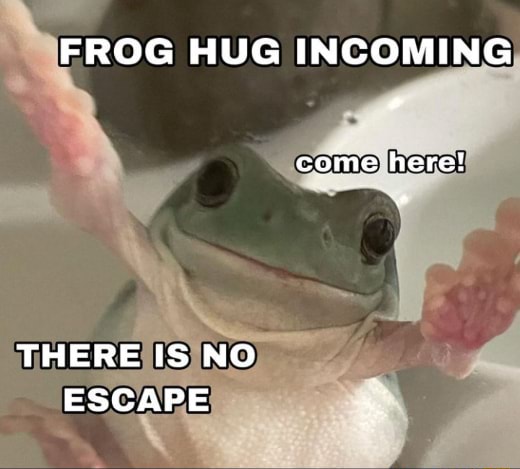 FROG HUG INCOMING come here! THERE IS NO ESCAPE - iFunny