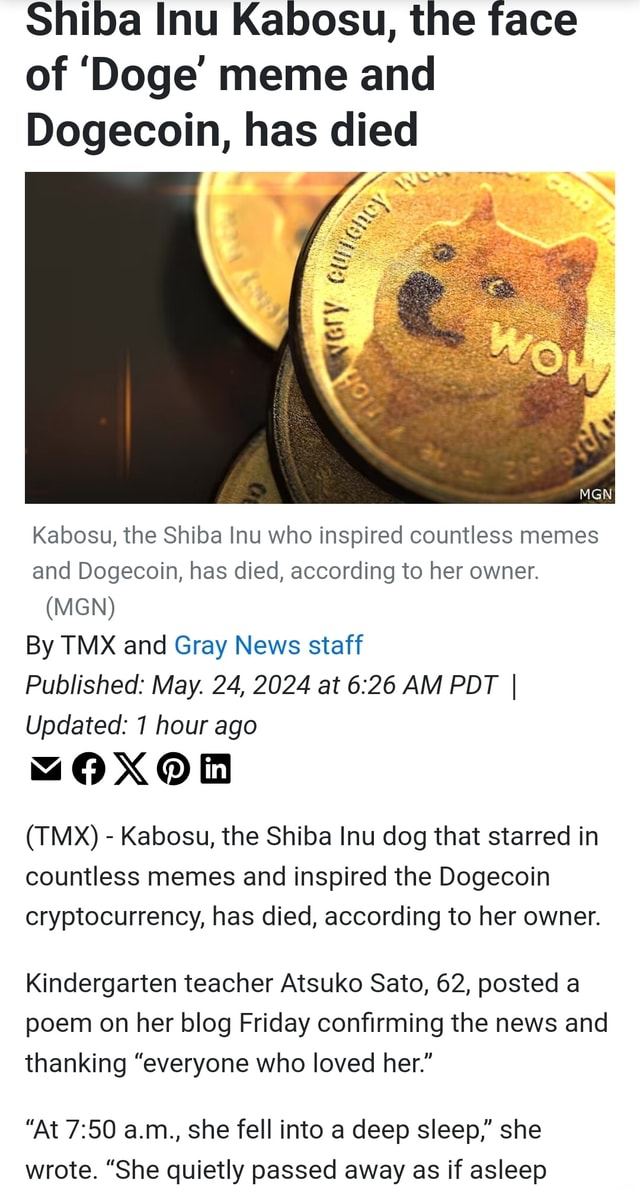 Shiba Inu Kabosu, the face of 'Doge' meme and Dogecoin, has died Kabosu ...