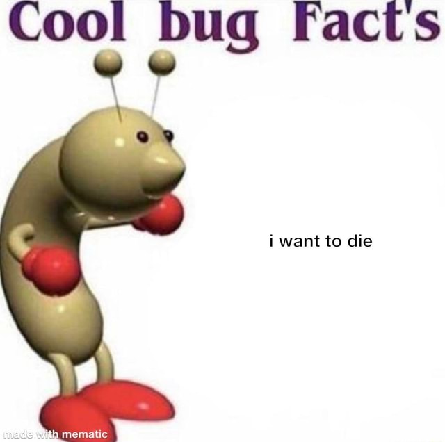Cool bug Facts Y - iFunny