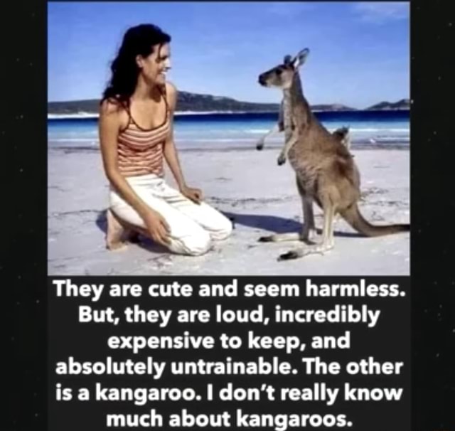 They are cute and seem harmless. But, they are loud, incredibly ...