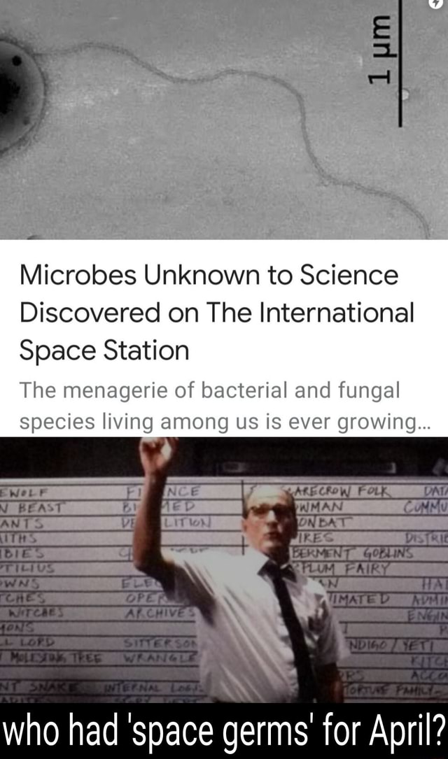 Microbes Unknown to Science Discovered on The International Space ...