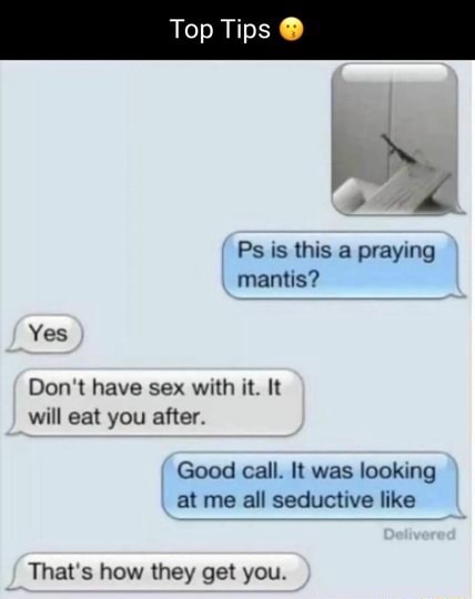 Top Tips Ps Is This A Praying Mantis Yes Dont Have Sex With It It