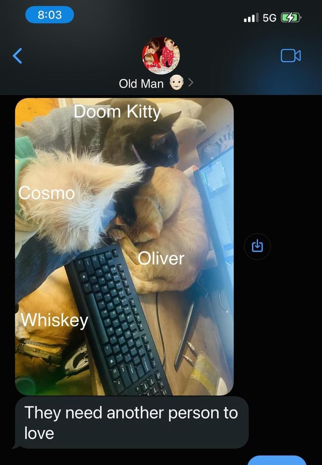 An Doom Kitty Cosmo Oliver Whiskey Old M They need another person to ...