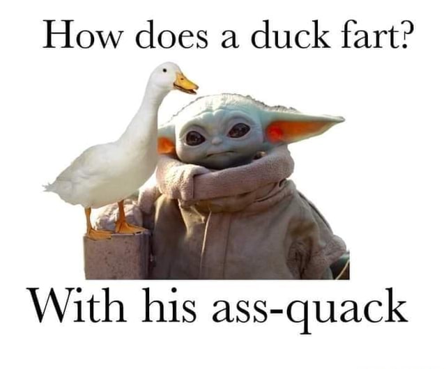 How does a duck fart? With his ass-quack - America’s best pics and videos