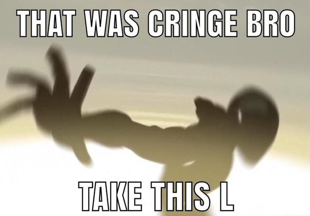 THAT WAS CRINGE BRO TL - iFunny