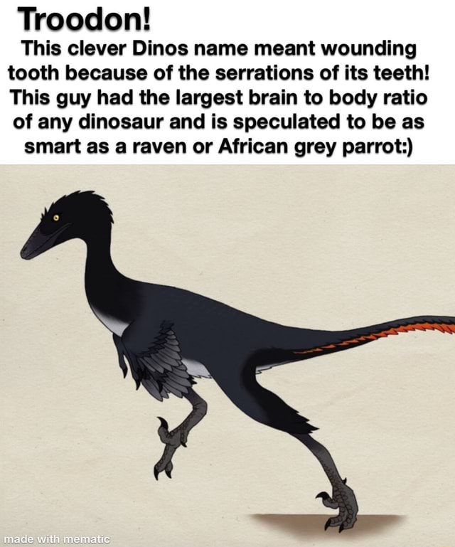 Troodon! This clever Dinos name meant wounding tooth because of the serrations of its teeth ...